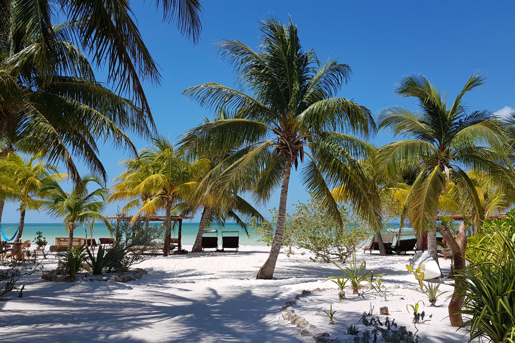 Die Insel Holbox: Alle Infos über Isla Holbox in Mexiko
